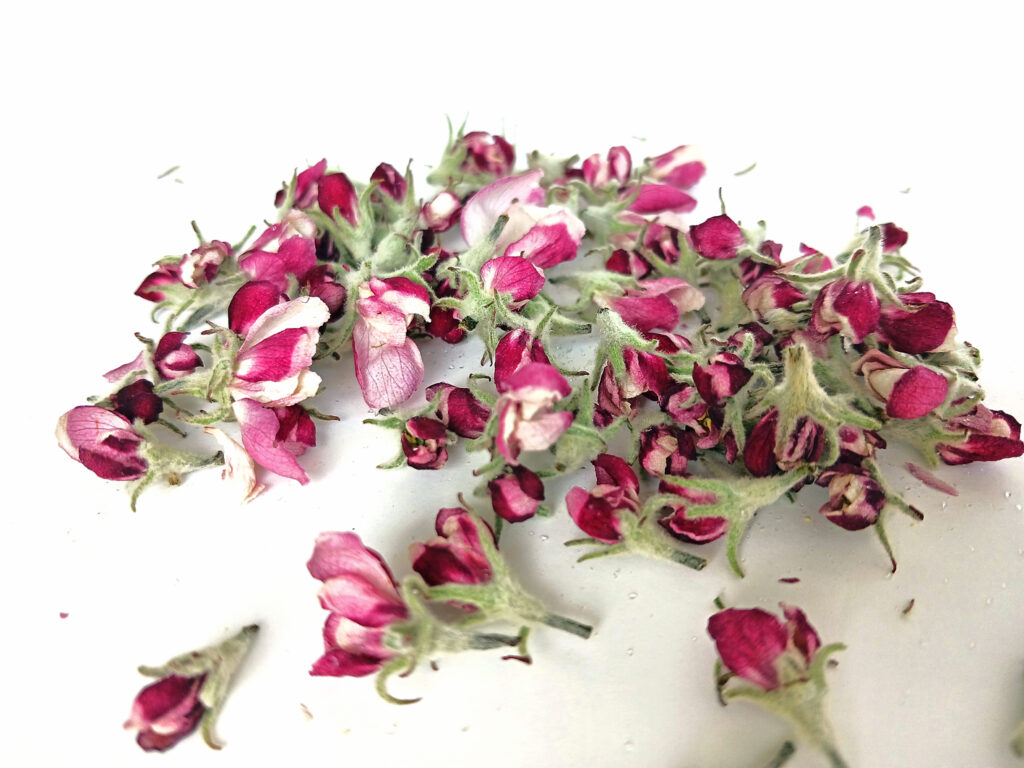 商品の考察：8 | 私とデザイン